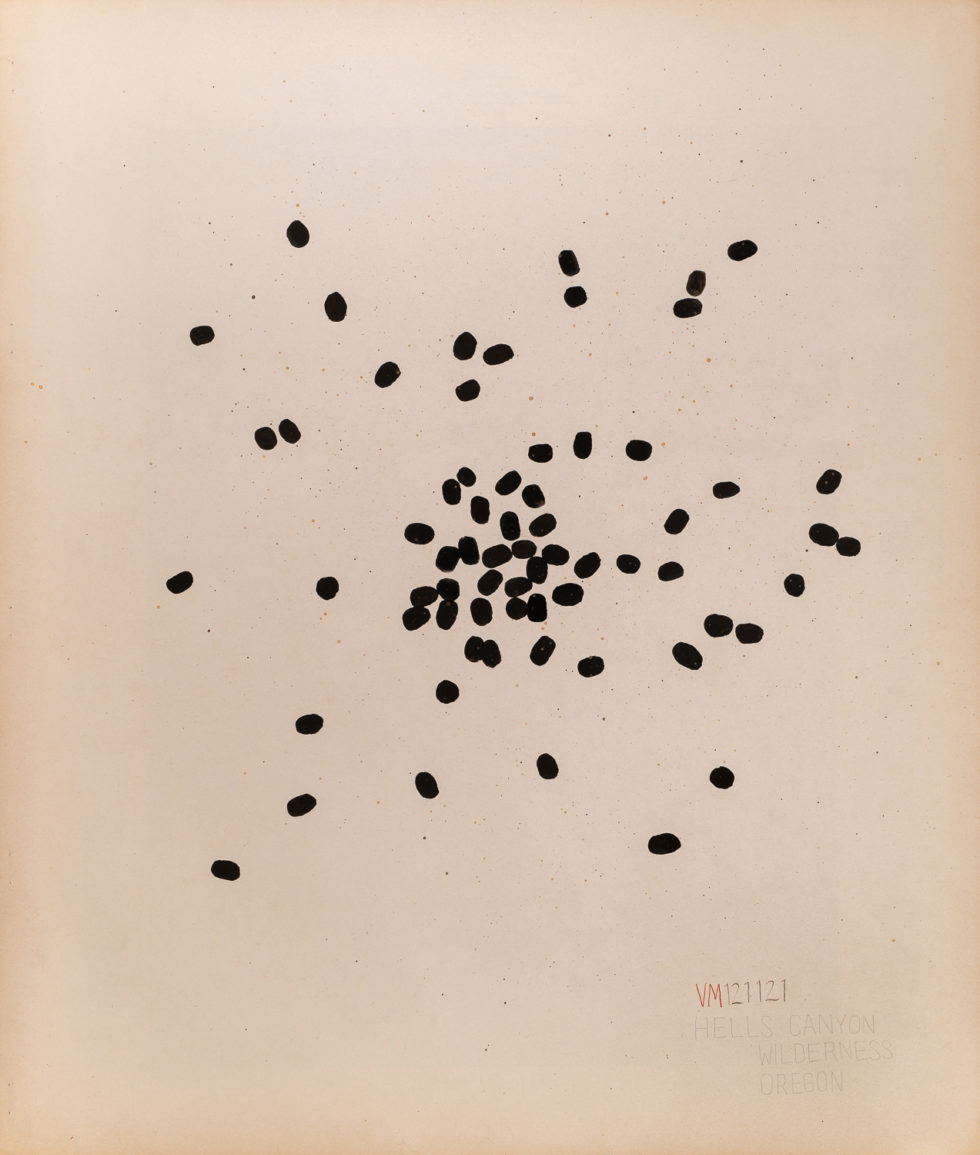 Vander McClain - AMcE Creative Arts