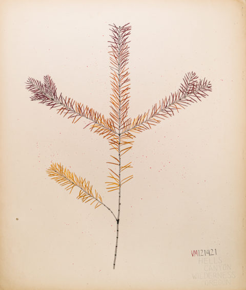 Stasis - AMcE Creative Arts