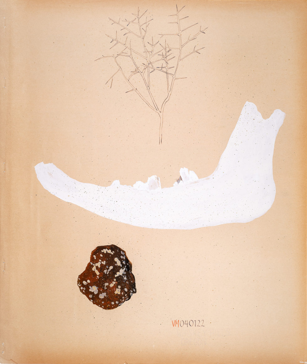 Vander McClain - AMcE Creative Arts